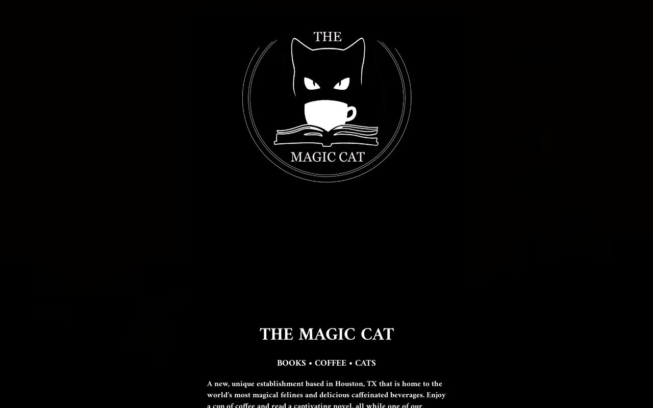THE MAGIC CAT
